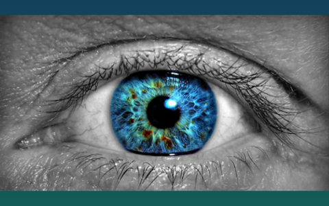 Color Blindness Project by Akhil Bharani on Prezi