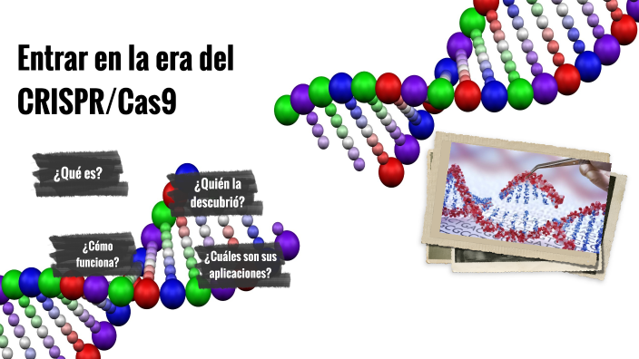 crispr cas9 by ALISON BRIGITH ARBOLEDA CASTILLO on Prezi