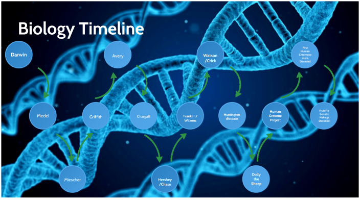 Biology Timeline by Nicholas Cook on Prezi