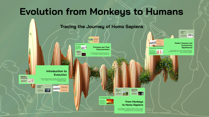 Evolution from Monkeys to Humans by Aleyna Cakir on Prezi