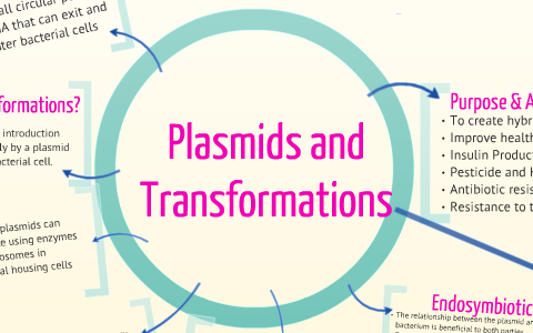 Plasmids and Transformations by emily cowie on Prezi