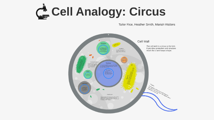 Cell Analogy: Circus by Heather Smith on Prezi