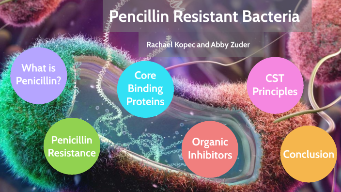 Penicillin Resistant Bactera by Rachael Kopec on Prezi