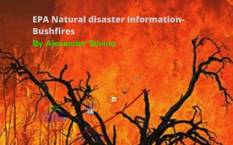 Bushfire presentation by bob bobob on Prezi