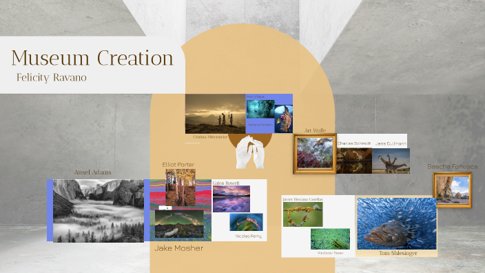 Museum Creation by felicity ravano on Prezi Next