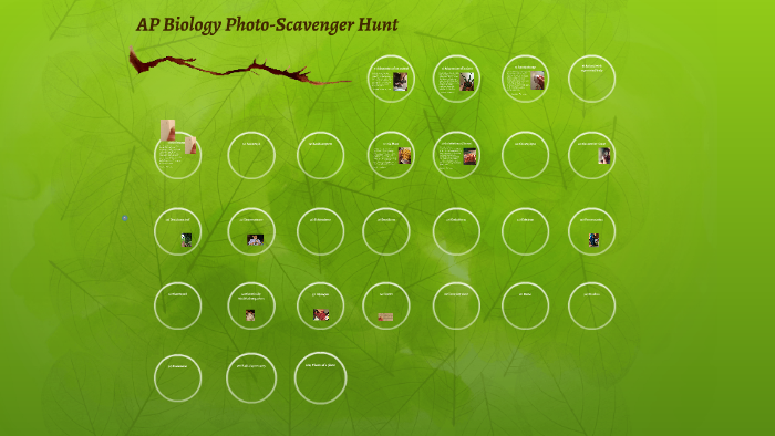 AP Biology Photo-Scavenger Hunt by Gemayne Magpantay