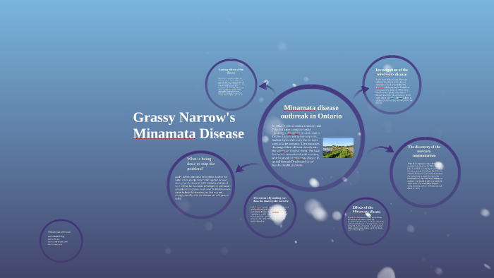 Grassy Narrow's by Kylee Bowman on Prezi