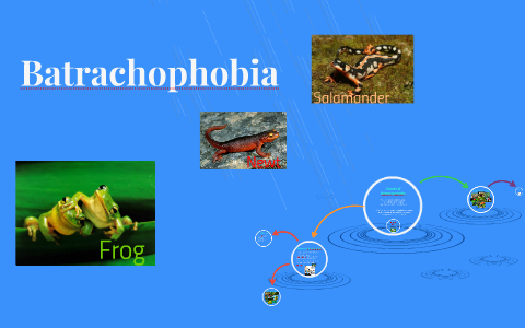 What is Batrachophobia? by Makayla Gosnell