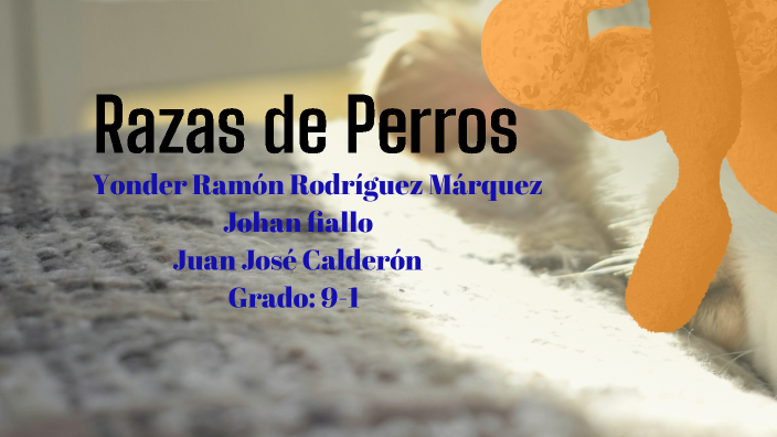 Razas de Perros by Yonder Ramon Rodriguez Marquez on Prezi