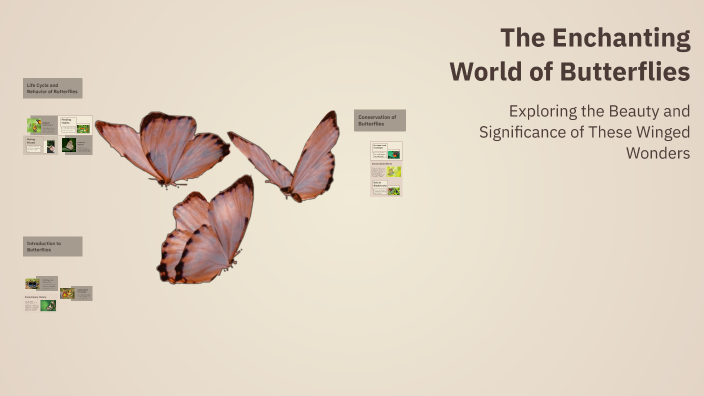 The Enchanting World of Butterflies by Jonathan Roark on Prezi
