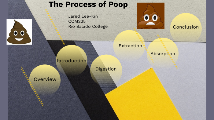 The Process of Poop by Jared Lee-Kin on Prezi