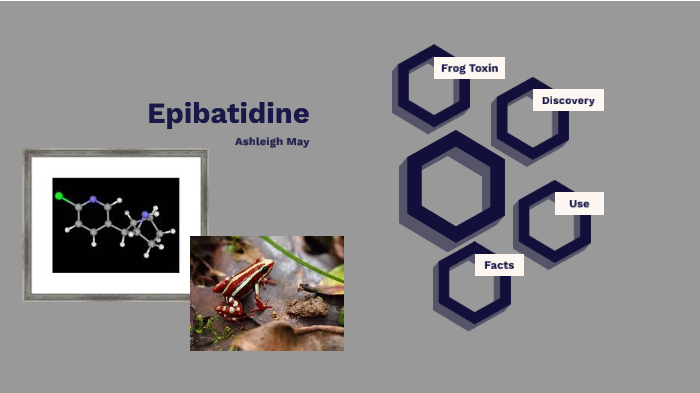 Epibatidine by Ashleigh May on Prezi