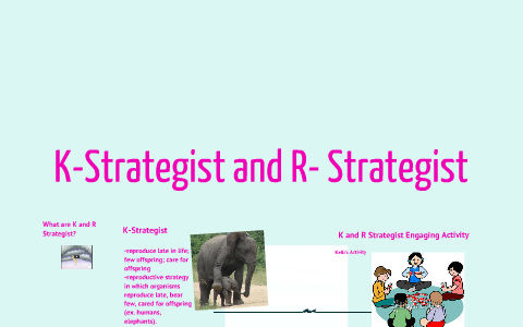 K and R Strategist Prezi by Kirstyn Williams on Prezi