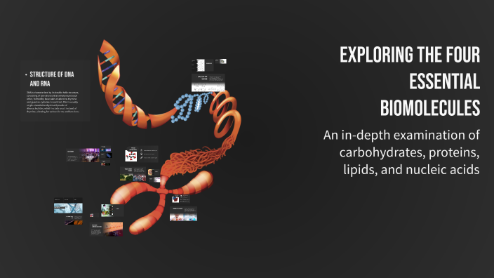 Exploring the Four Essential Biomolecules by Greg Gucela on Prezi