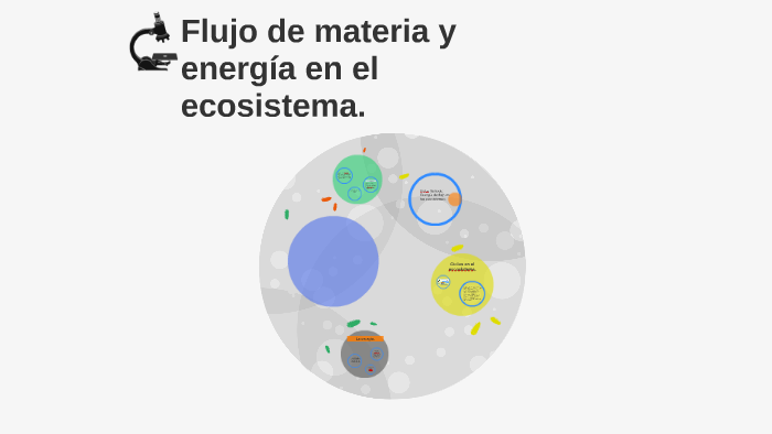 Flujo de materia y energía en el ecosistema. by Úrsula Benítez on Prezi