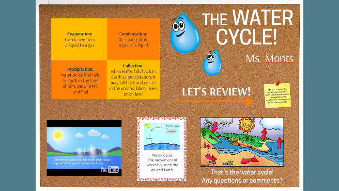 The Water Cycle by Megan Monts on Prezi