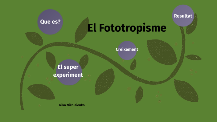Fototropisme by nika nikolaienko