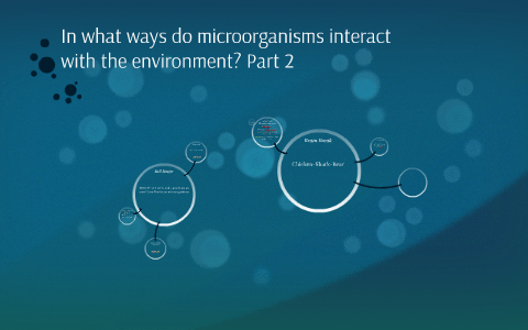 In what ways do microorganisms interact with the environment by ...