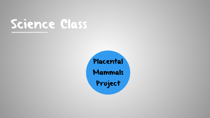Placental Mammals Project by Lydia Stauffer on Prezi