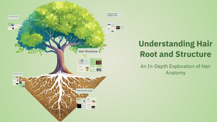 Understanding Hair Root and Structure by Lenika Ramirez Ortiz on Prezi