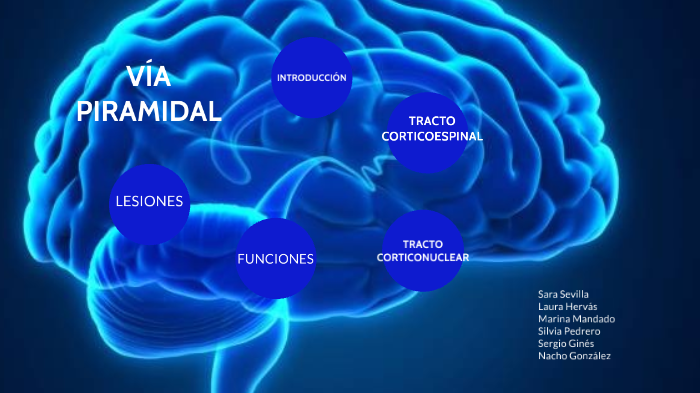 VIA PIRAMIDAL by silvia pedrero on Prezi