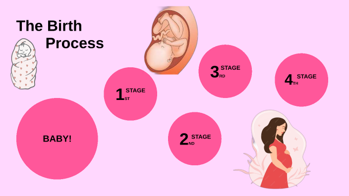 The Birth Process by maryam abdelkader on Prezi