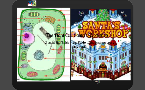 The Animal Cell: Santa's Workshop by Kaleb Frey on Prezi