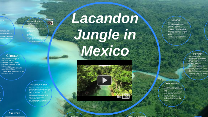Lacandon Jungle in Mexico by Rachel Sukonnik on Prezi