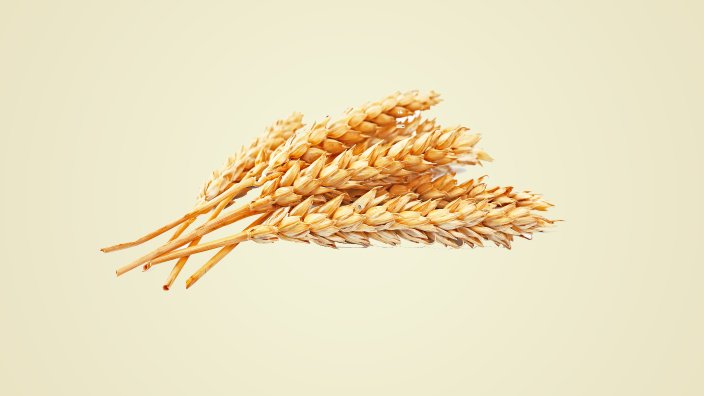 Cantidad de Pan en Función de la Harina Utilizada by Yassuna Monserrat ...