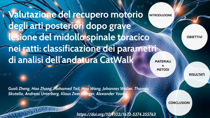 Progetto neuro2 by Chiara Demarinis on Prezi