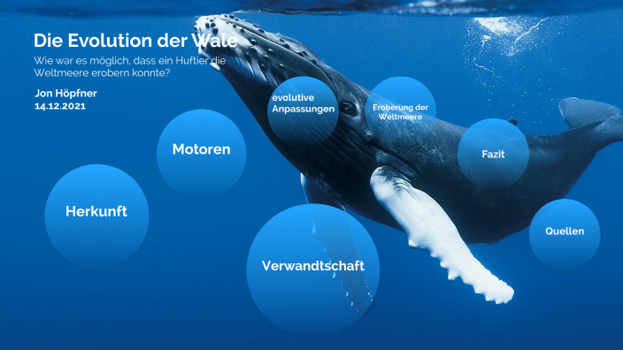 Die Evolution der Wale by lennart höpfner on Prezi