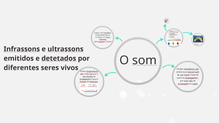 Infrassons e ultrassons emitidos e detetados por diferentes by carolina ...