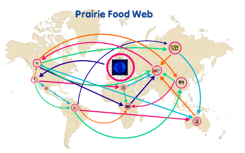 Prairie Food Web by Joevone & Brandon on Prezi
