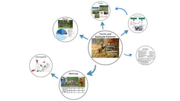 Fuchs und die biotischen Faktoren by maret maret on Prezi