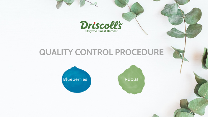 QC PROCEDURE DR/OZ by Estefany Rivas on Prezi