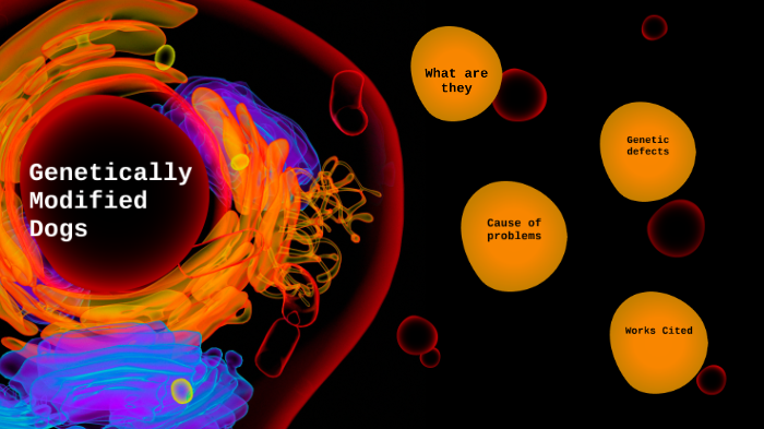Genetically Modified Dogs by Will Gergen on Prezi