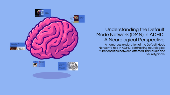 Understanding the Default Mode Network (DMN) in ADHD: A Neurological ...