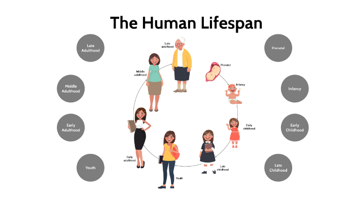 Human Lifespan by Eunice Kim on Prezi