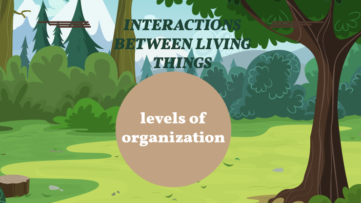 Interactions between living things by R S on Prezi