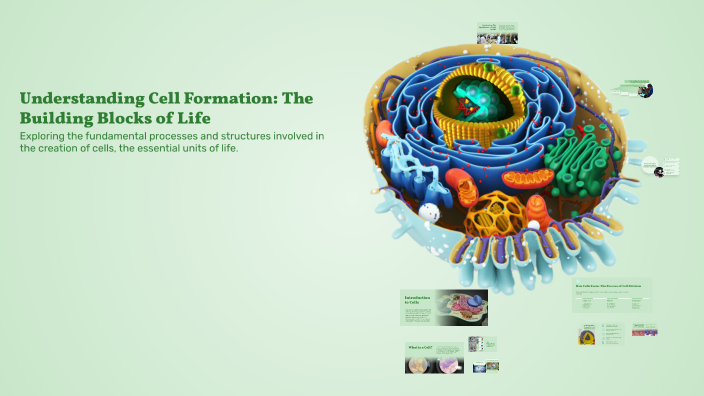 Understanding Cell Formation: The Building Blocks of Life by Sandra ...