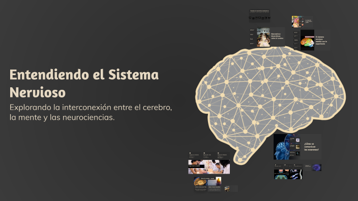 Entendiendo el Sistema Nervioso by Jacob GODINEZ on Prezi
