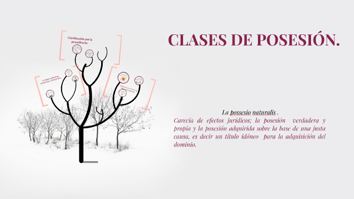 CLASES DE POSESION by Ayleen Alpizar on Prezi