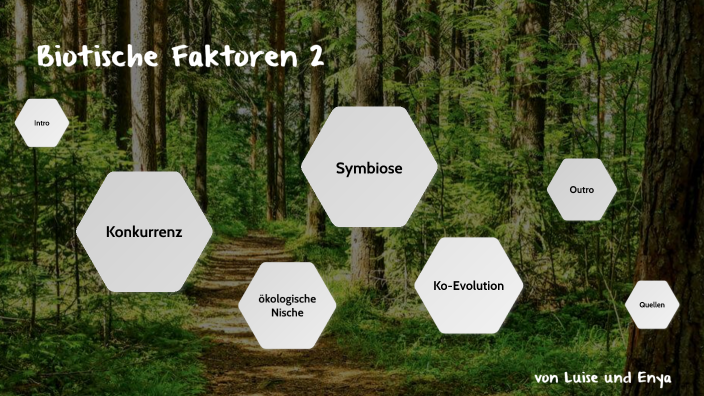 Biotische Faktoren 2 by Enya Kae on Prezi