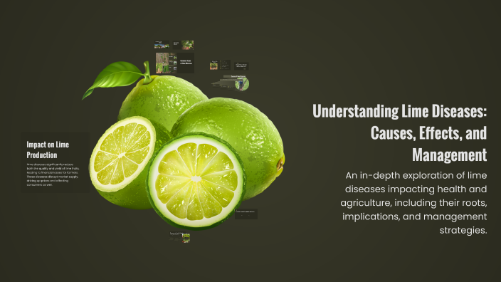 Understanding Lime Diseases: Causes, Effects, and Management by aria ...