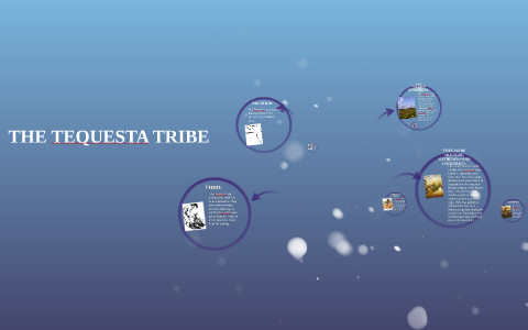 THE TEQUESTA TRIBE by ANNA GABRIELLA OSWALD on Prezi