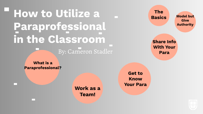 How to Utilize a Paraprofessional in the Classroom by Cameron Stadler ...