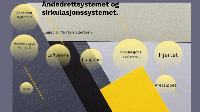 Åndedrettsystemet og sirkulasjonssystemet. by Morten Eilertsen on Prezi