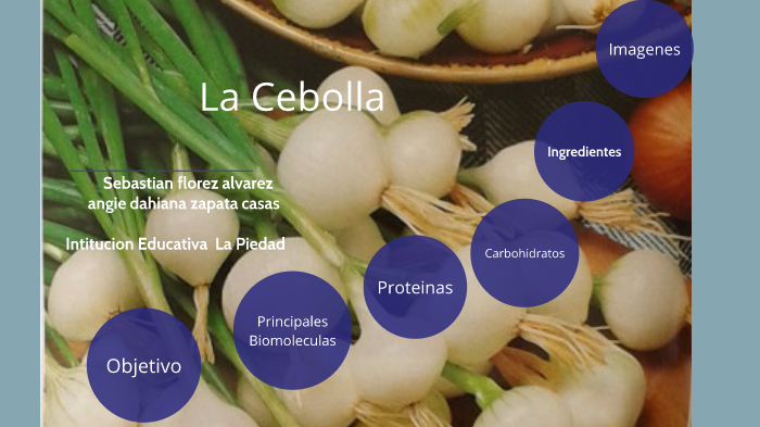 Cebolla by sebastian florez alvarez on Prezi
