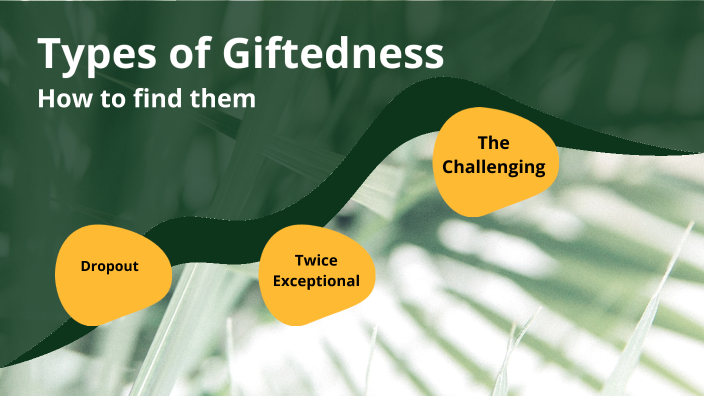 Types of giftedness by gwyn davis on Prezi