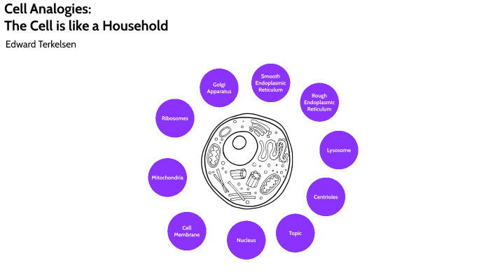 cell analogies by Edward Terkelsen on Prezi